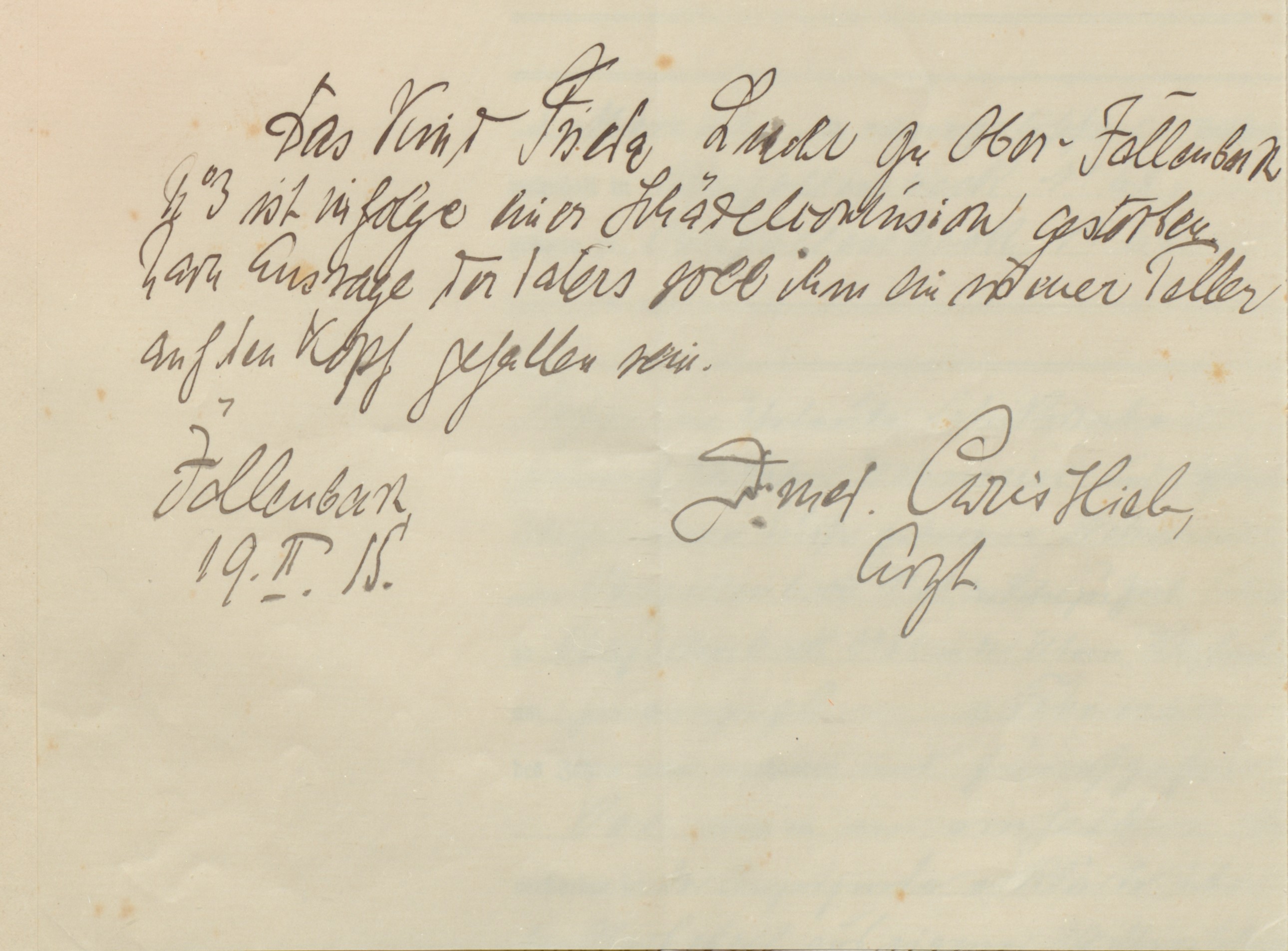 19. Januar 1916: Hinrichtung des Kindermörders David Lucht ...